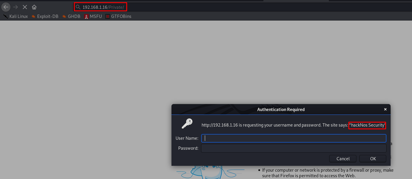 Apache Server Password Protected Hacknos