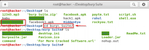 Burp Suite Configuration in Kali Linux. - hackNos