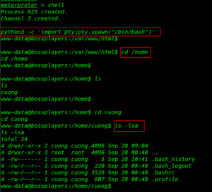 bossplayersCTF: 1 walkthrough vulnhub - HackNos vulnhub walkthrough